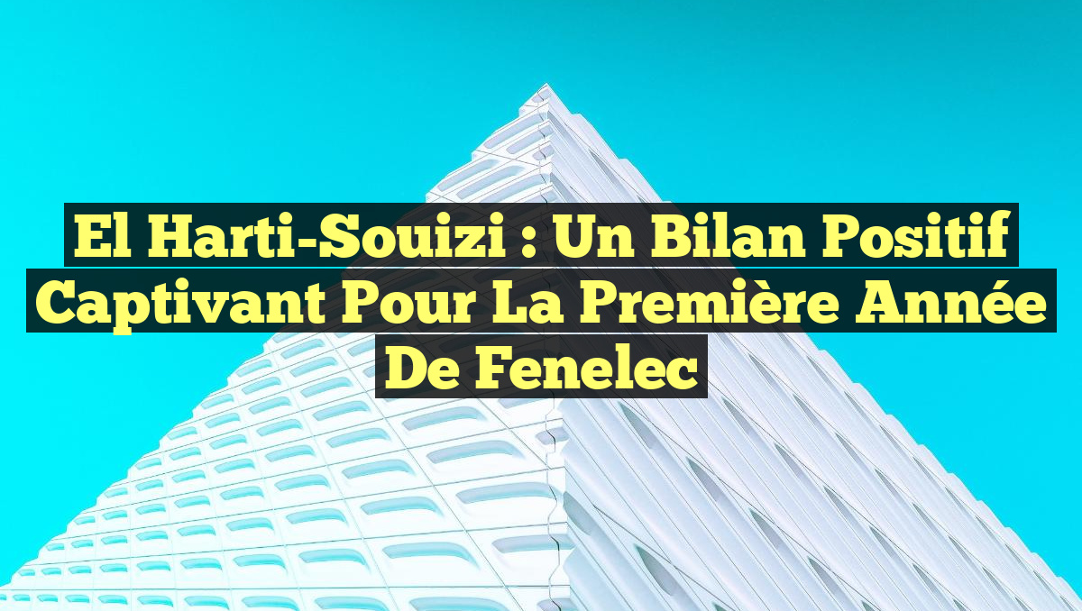 El Harti-Souizi : un bilan positif captivant pour la première année de ...