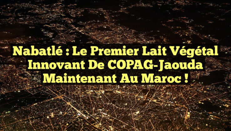 Nabatlé : Le Premier Lait Végétal Innovant de COPAG-Jaouda Maintenant ...