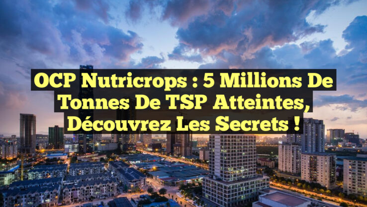 OCP Nutricrops : 5 Millions de Tonnes de TSP Atteintes, Découvrez les ...