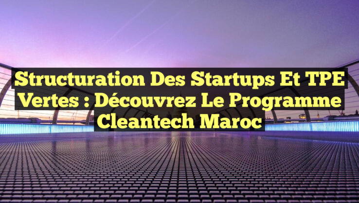 Structuration des Startups et TPE Vertes : Découvrez le Programme ...