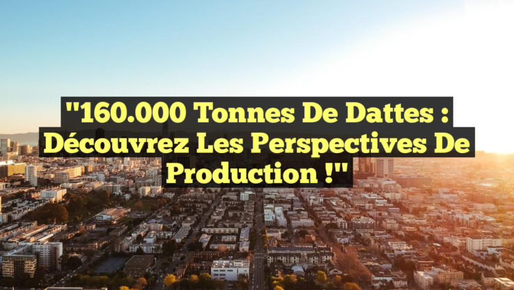 "160.000 Tonnes de Dattes : Découvrez les Perspectives de Production
