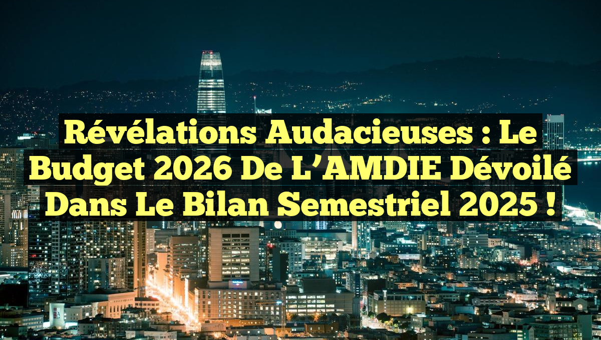 Révélations Audacieuses : Le Budget 2026 de l'AMDIE Dévoilé dans le ...