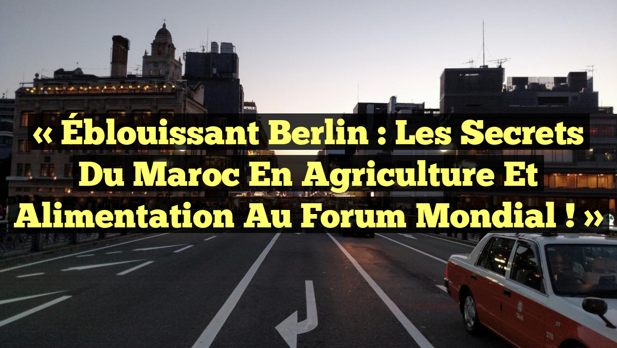 « Éblouissant Berlin : Les Secrets du Maroc en Agriculture et ...