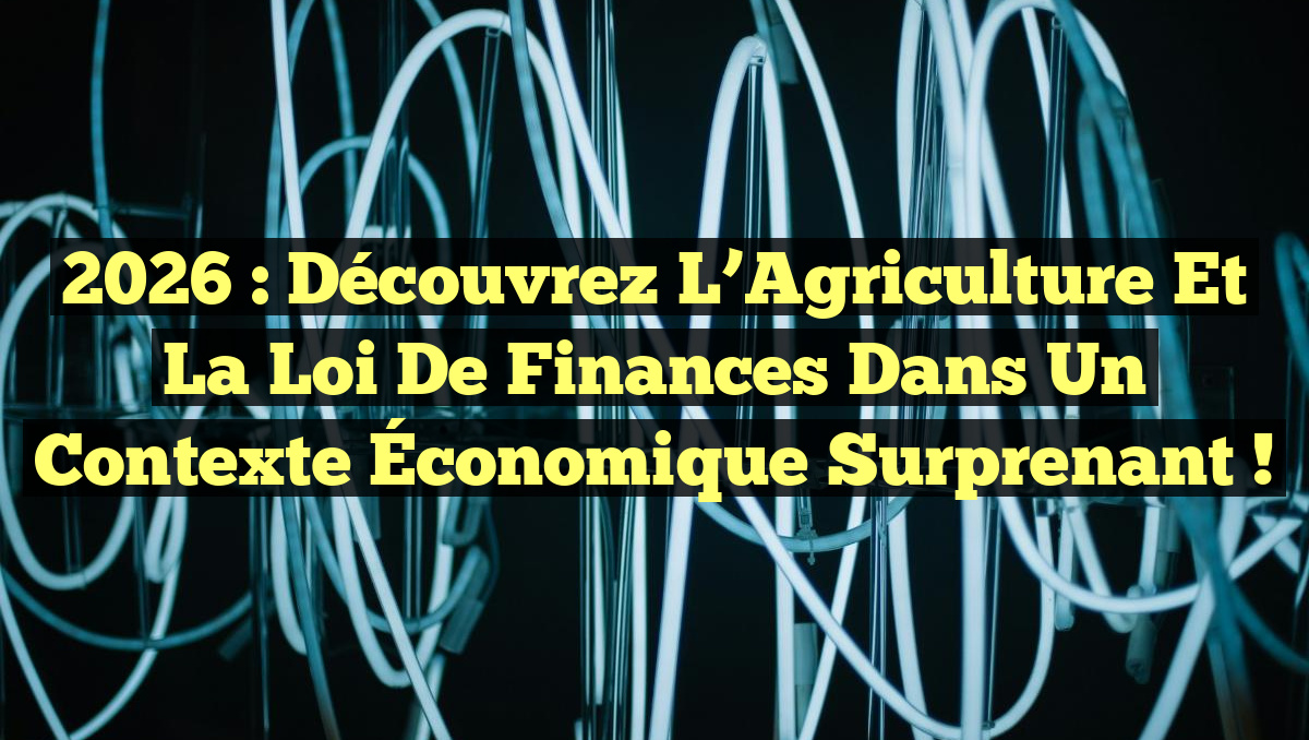 2026 : Découvrez l'Agriculture et la Loi de Finances dans un Contexte ...
