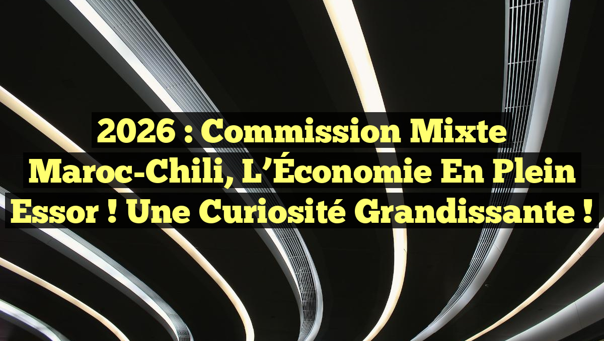 2026 : Commission Mixte Maroc-Chili, l'Économie en Plein Essor ! Une ...