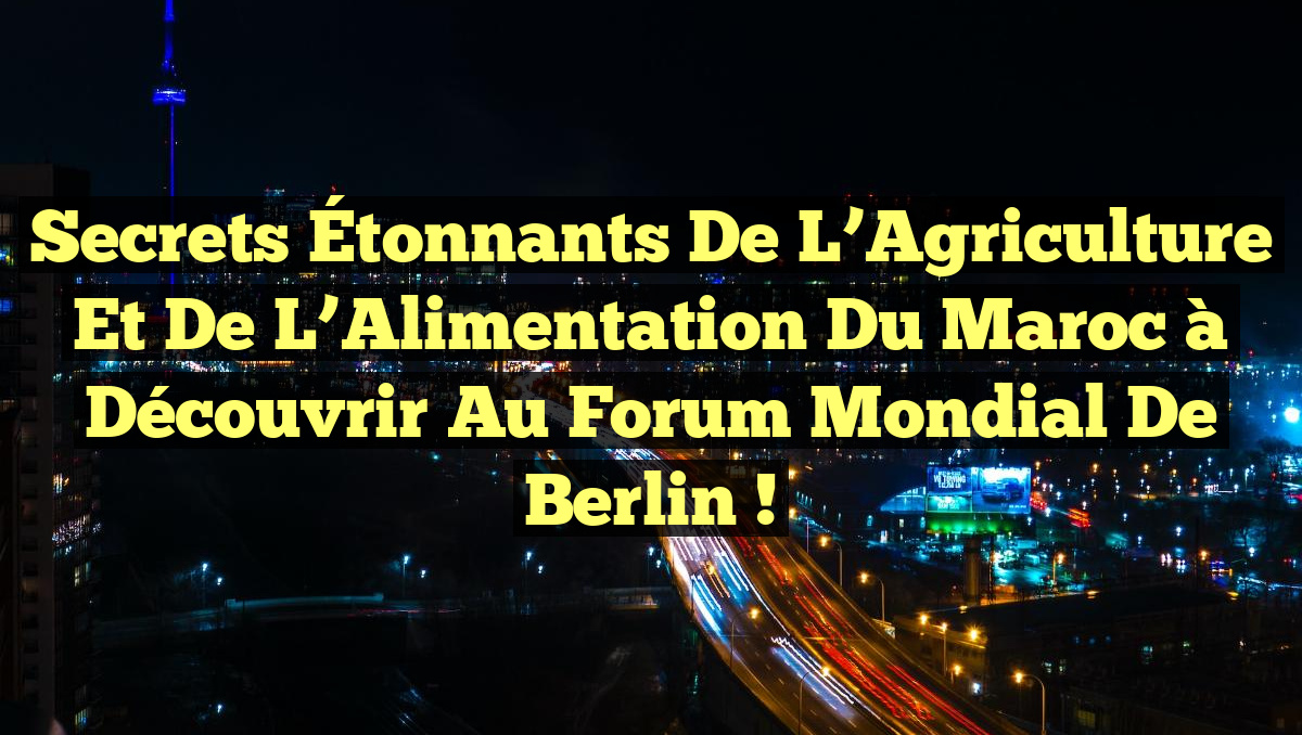 Secrets Étonnants de l'Agriculture et de l'Alimentation du Maroc à ...