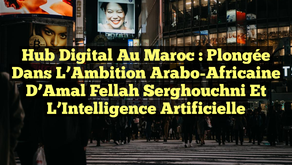Hub Digital au Maroc : Plongée dans l'Ambition Arabo-Africaine d'Amal ...